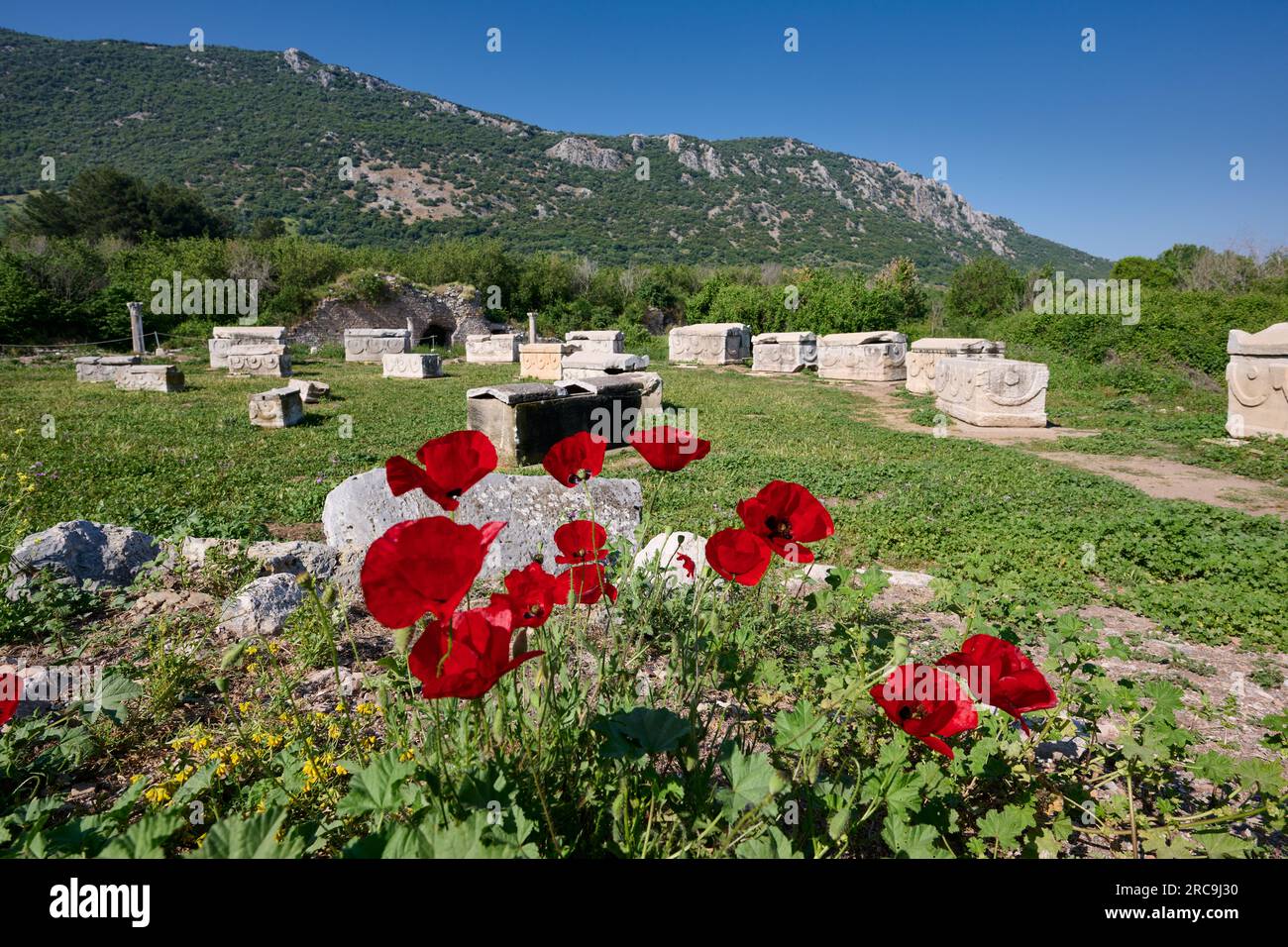 Sarkophage auf einer Wiese von Ephesus Archaeological Site, Selcuk ... Sarkophage auf einer Wiese von Ephesus Archaeological Site, Selcuk ...