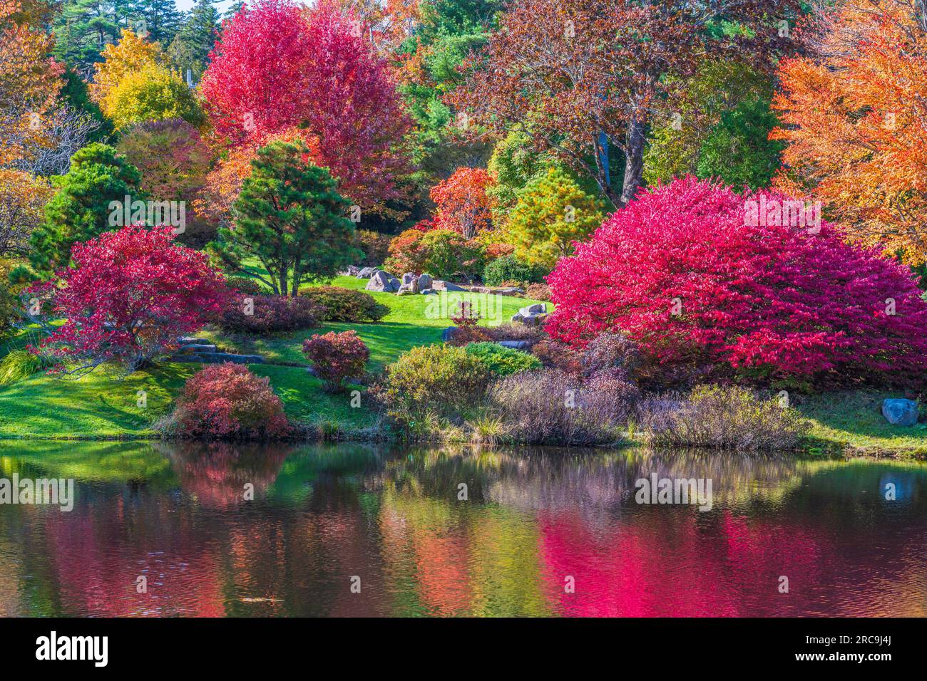 Asticou Azalea Garden in Maine Stock Photo - Alamy