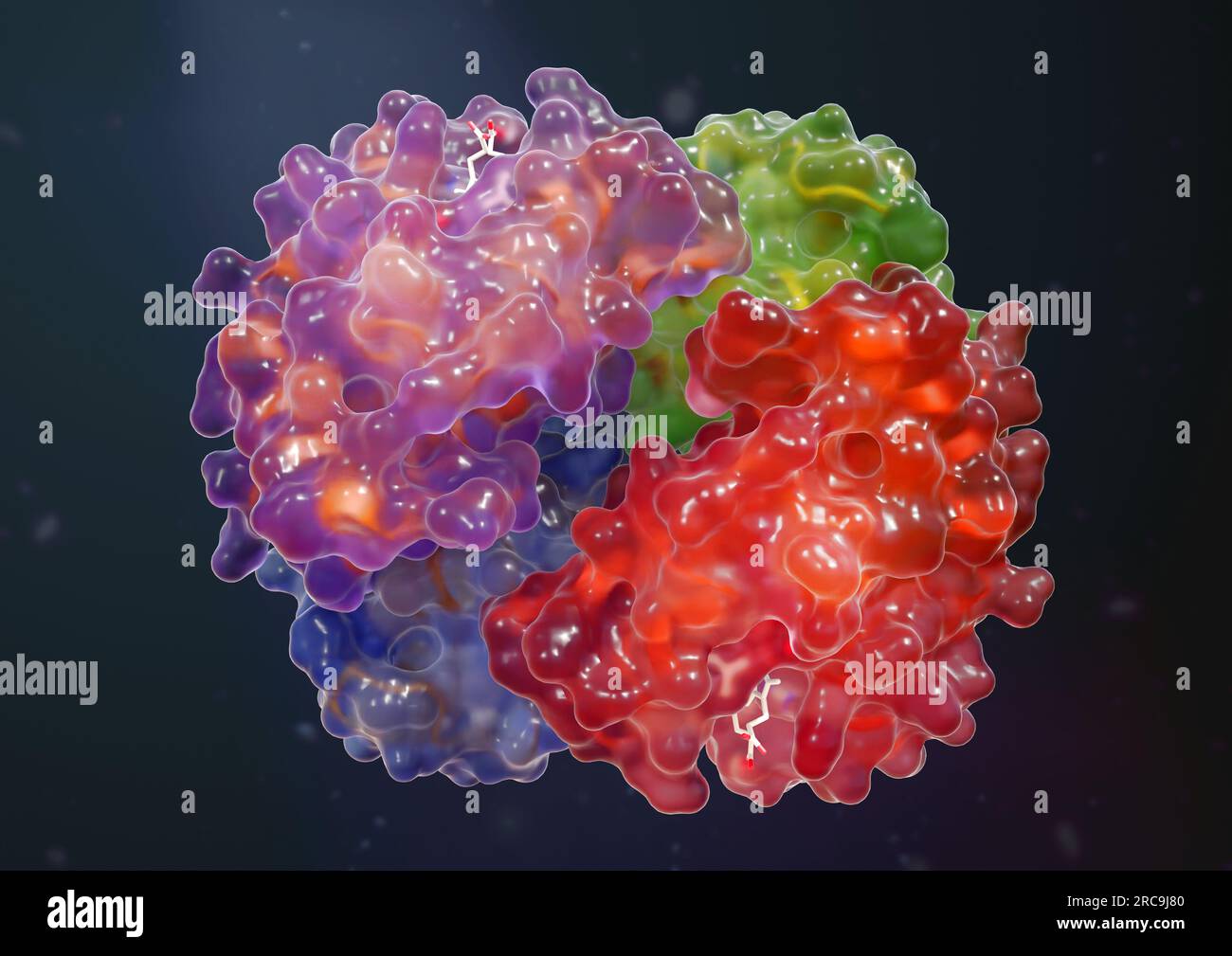 Illustration des Hämoglobins (deoxyhaemoglobin) als gläsernes ...