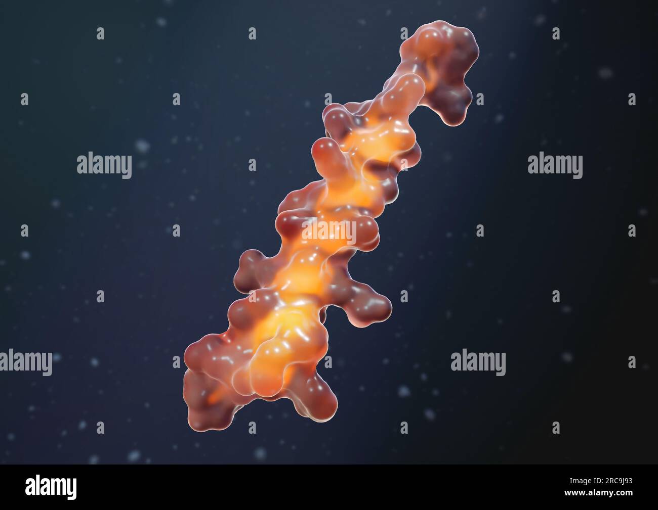 Pankreas glucagon hi-res stock photography and images - Alamy