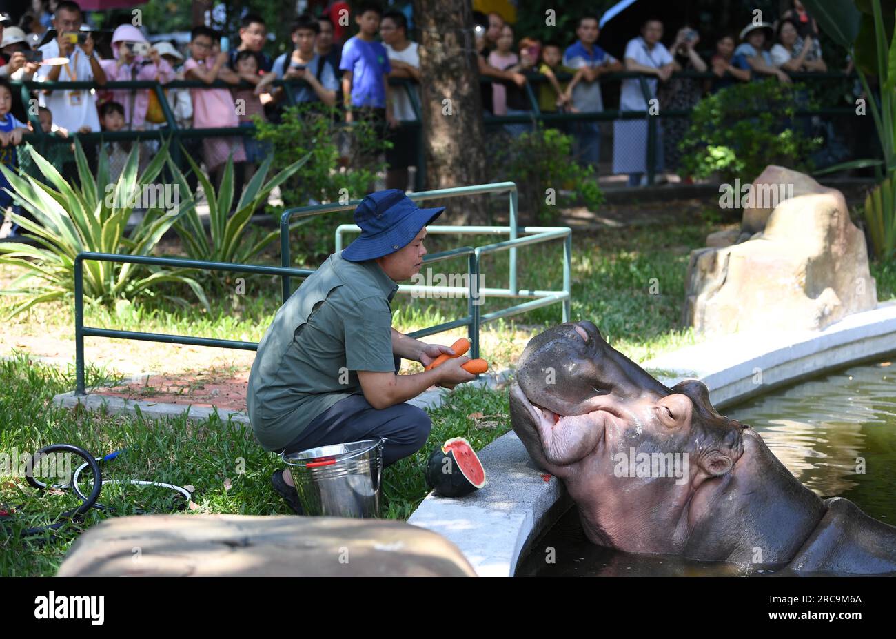 Guangzhou, China's Guangdong Province. 13th July, 2023. A breeder feeds ...
