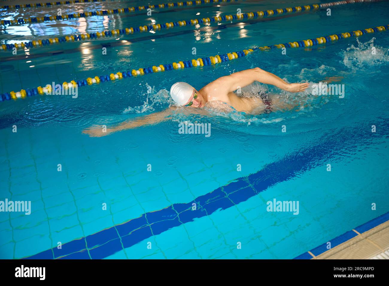 Adult athlete swimming crawl in the pool Stock Photo - Alamy