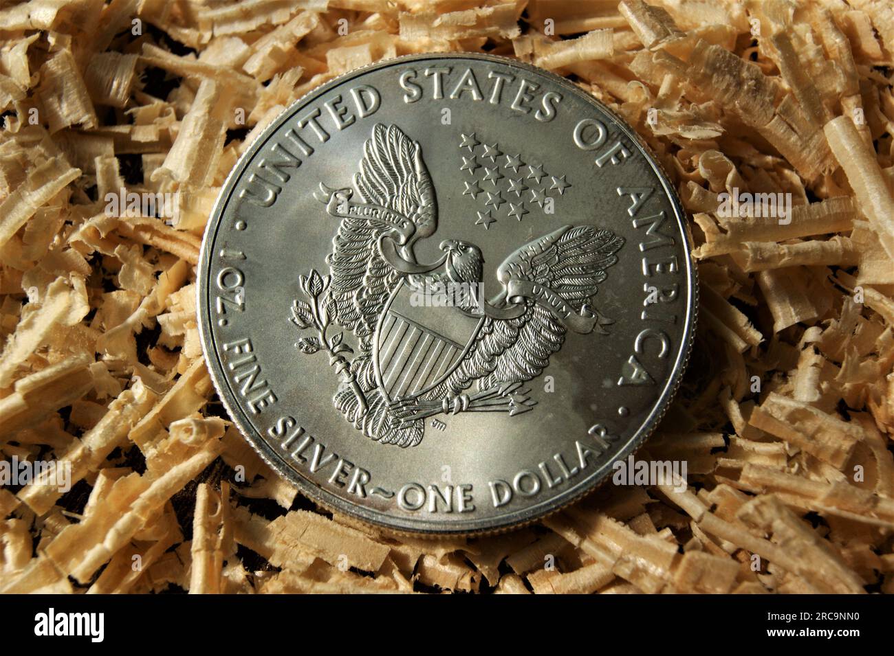 1 dollar United States investment silver coin. Pure silver coin in the ...