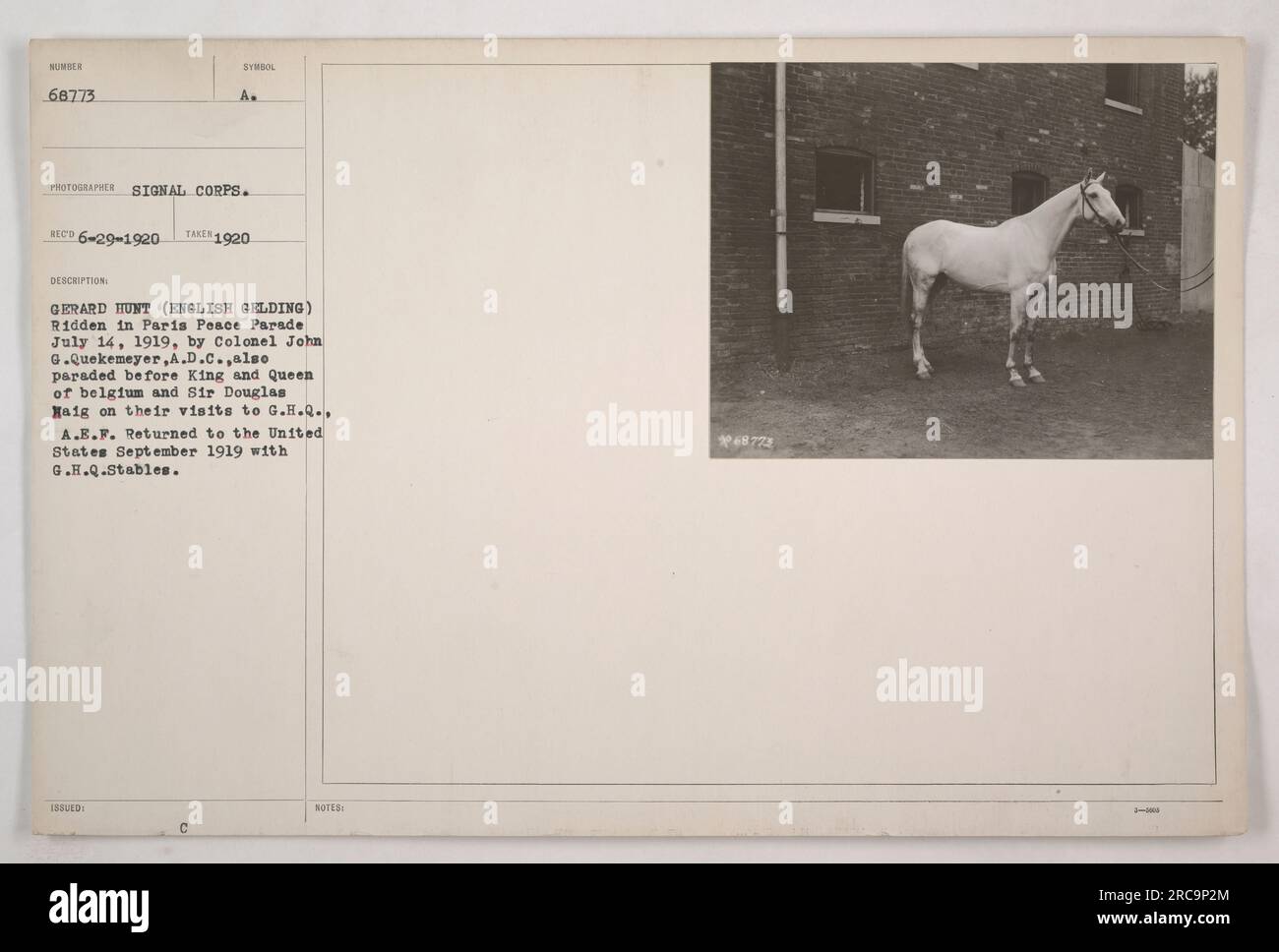 "Gerard Hunt, an English gelding, was ridden by Colonel John G ...