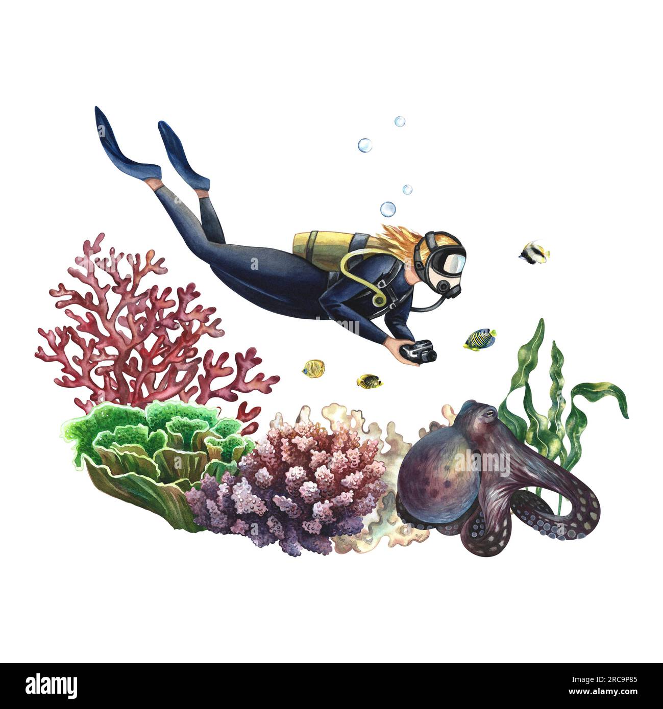 Girl diver swims underwater. Watercolor hand drawn illustration ...