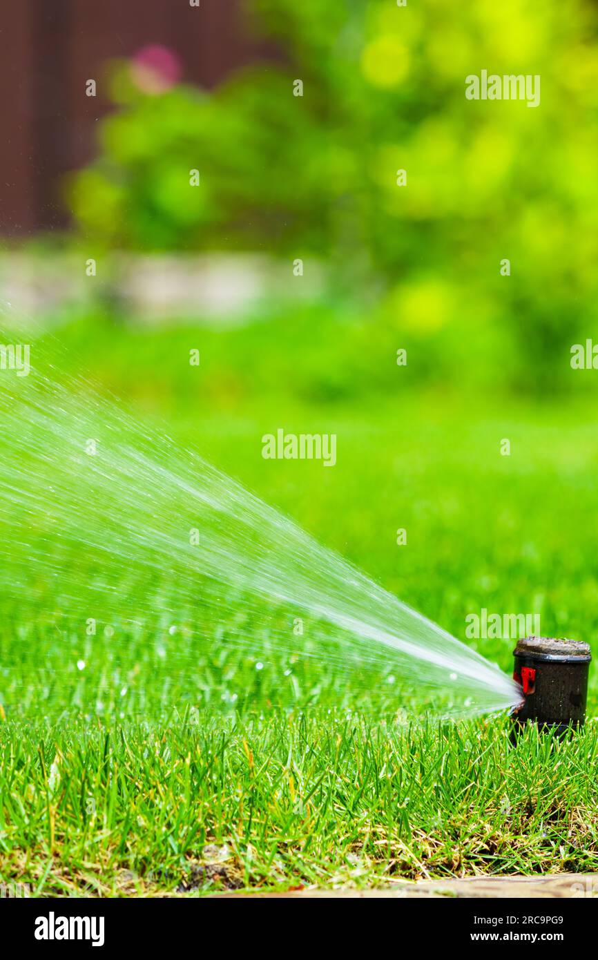 Irrigation system in home garden. Automatic lawn sprinkler watering ...