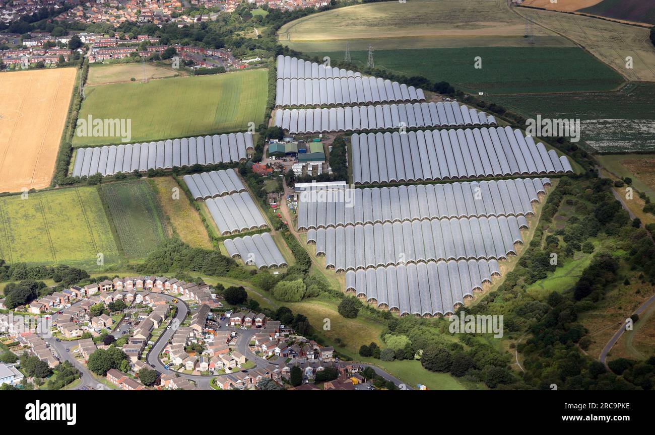Polyttunnels hi-res stock photography and images - Alamy