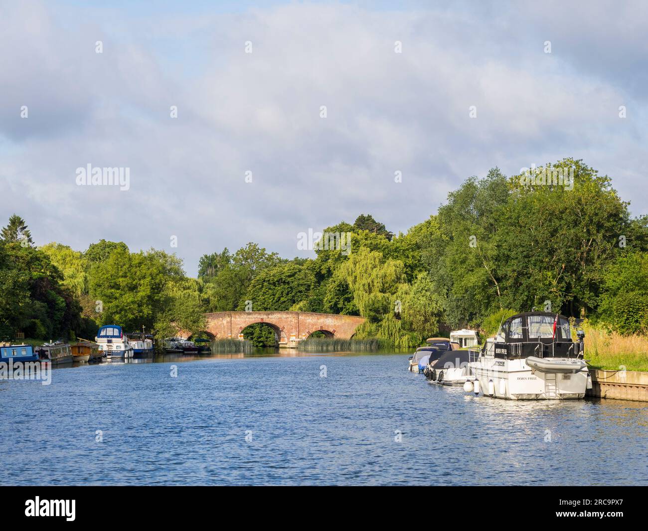 River moorings summer hi-res stock photography and images - Alamy