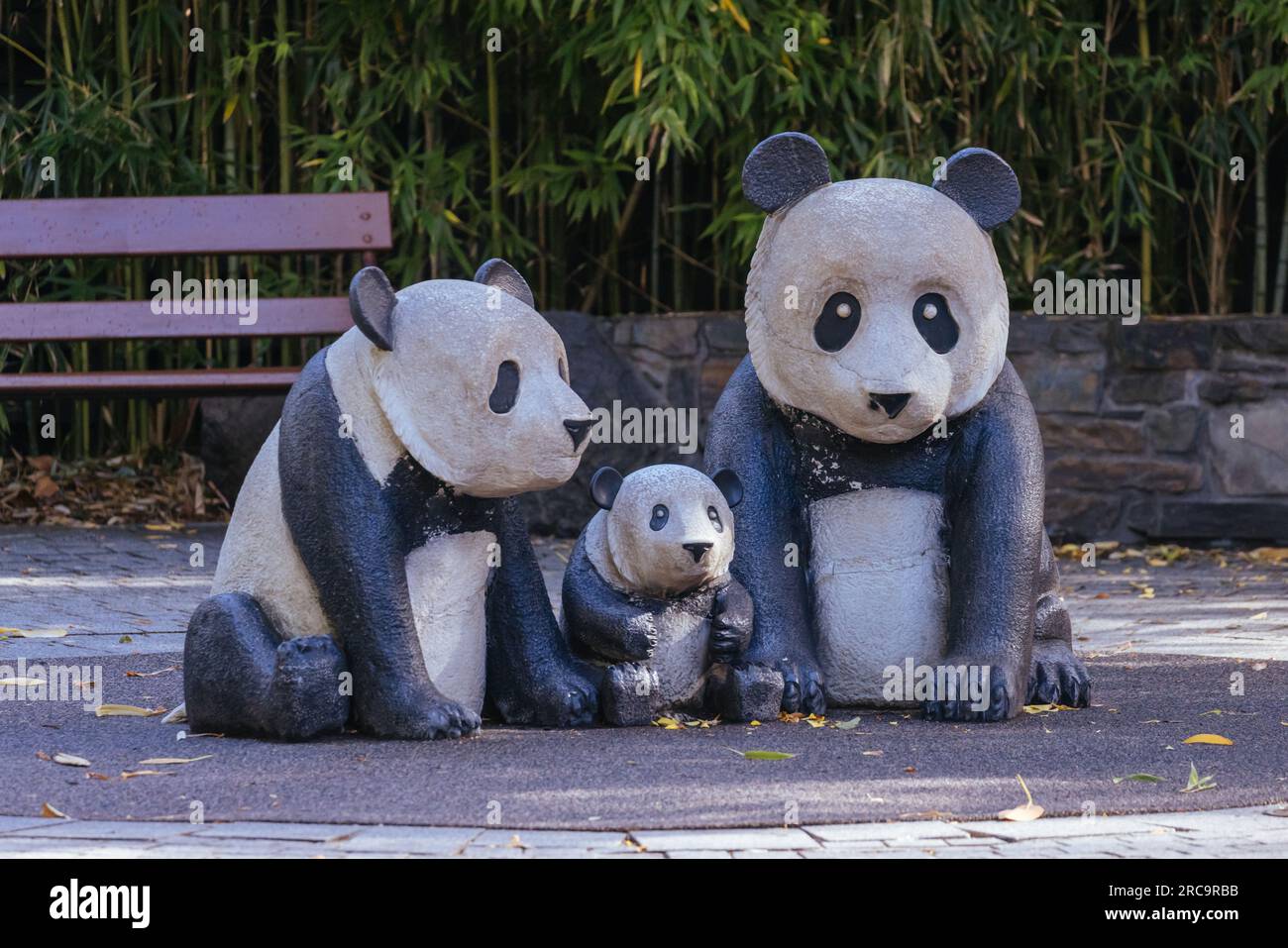 Giant Panda in Australia Stock Photo - Alamy