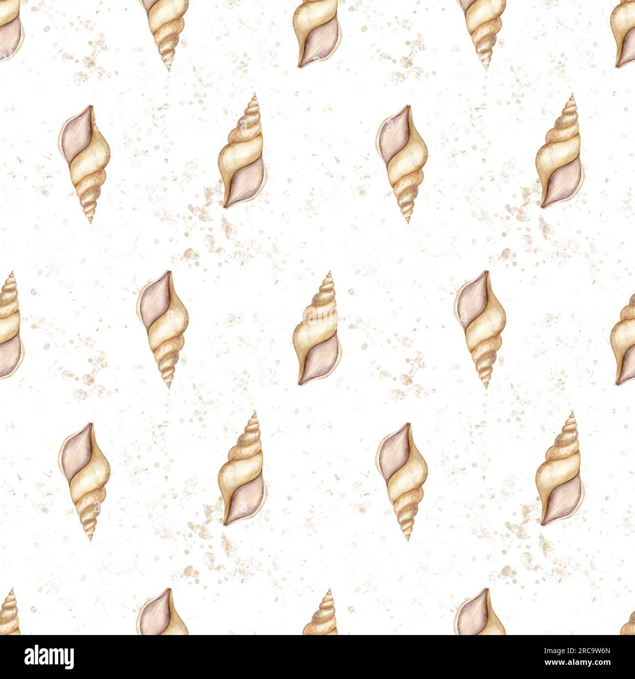 Seashells seamless Pattern on isolated white background. Hand drawn ...