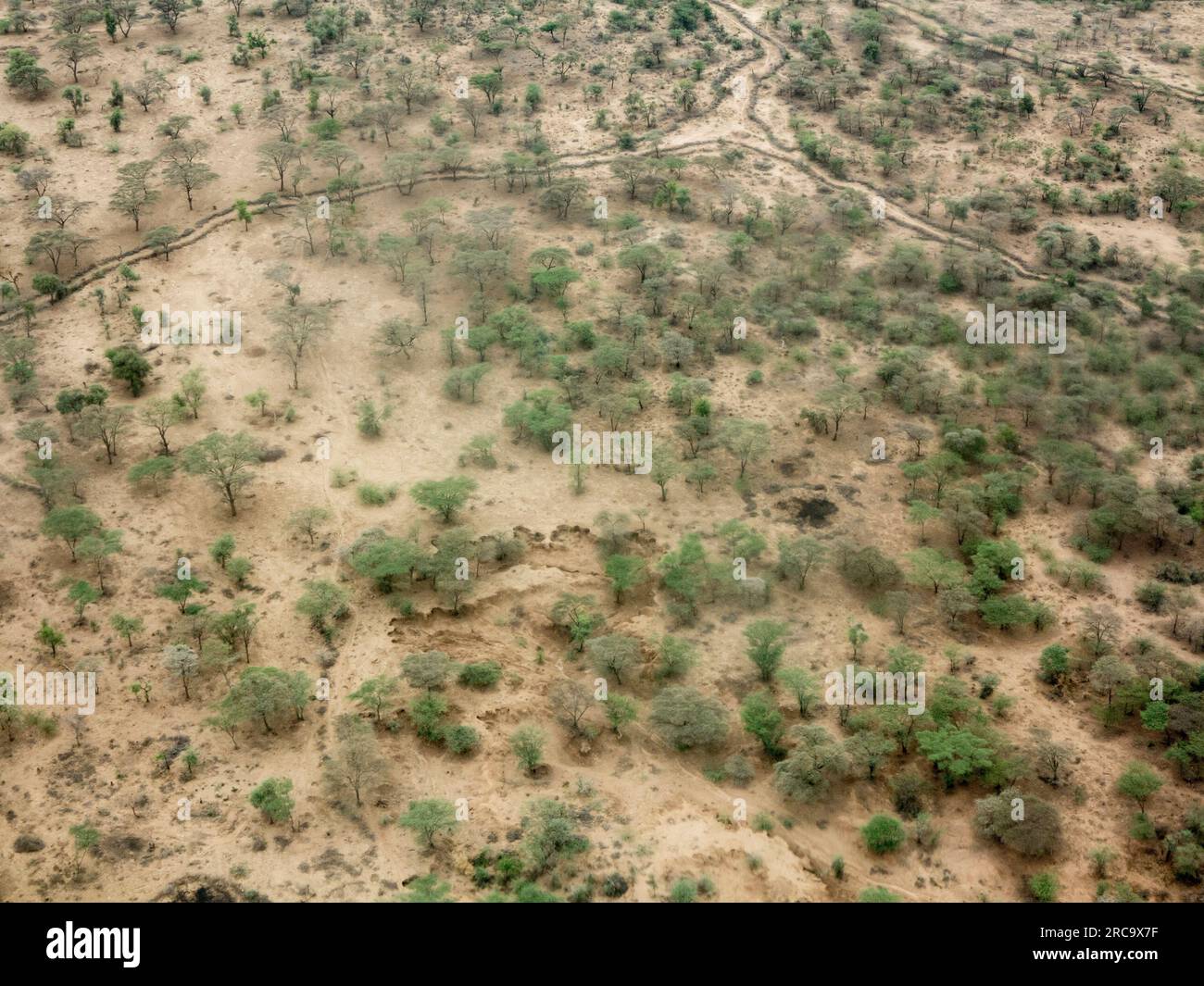Sahel desertification africa hi-res stock photography and images - Alamy