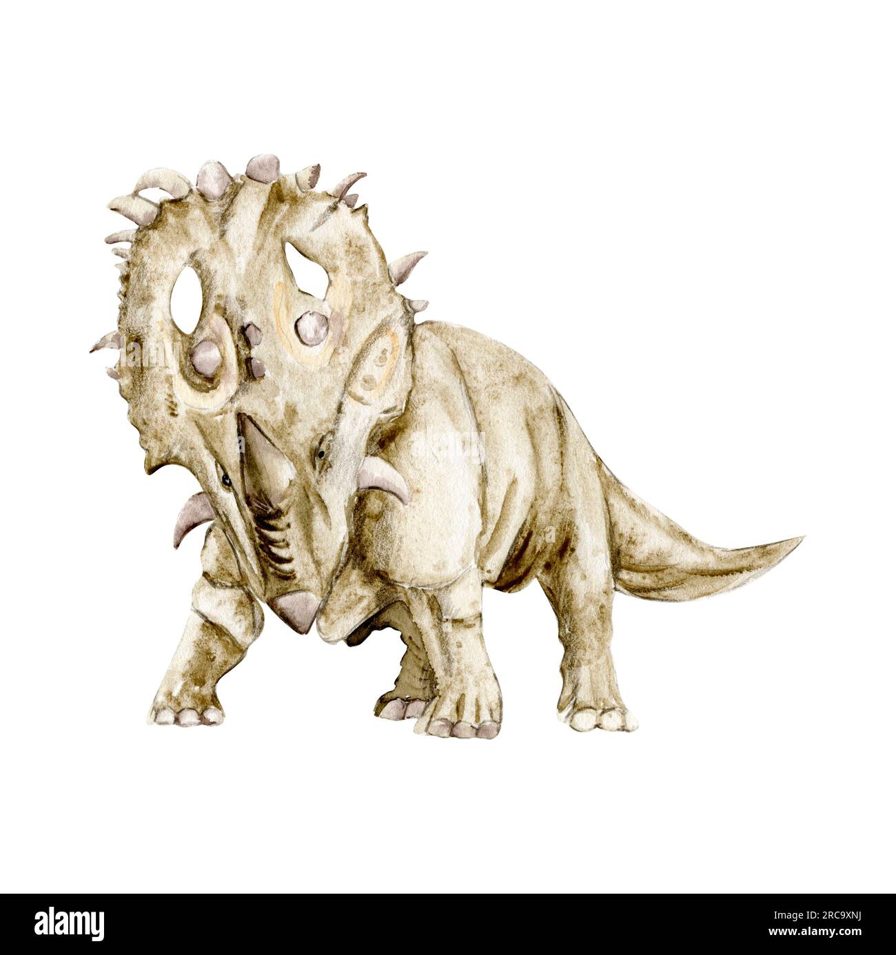 Watercolor hand drawn tropical dinosaur, Hand painted cute dinosaurs ...