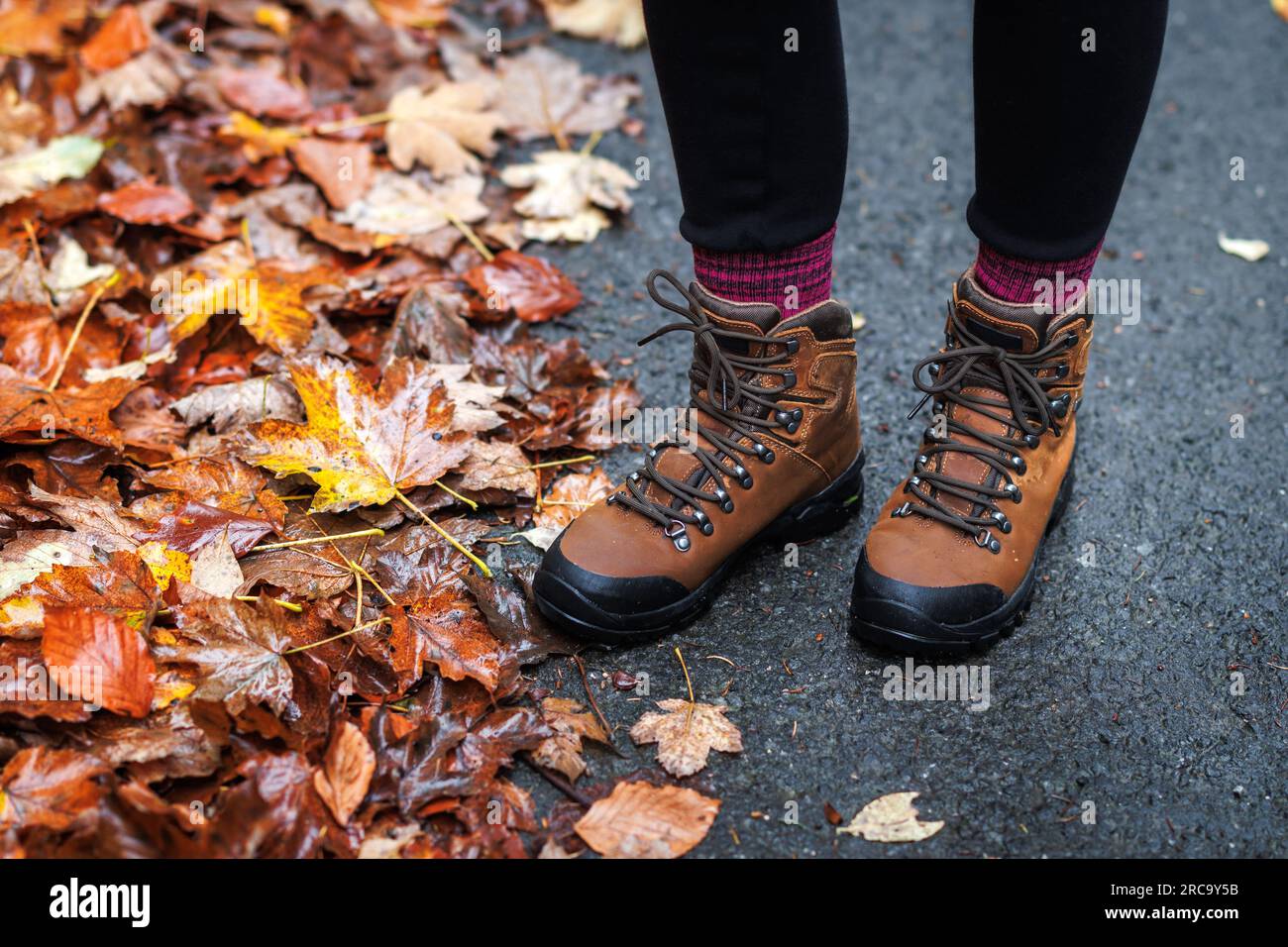 Hiking boot on road with autumn leaves. Waterproof leather ankle boots ...