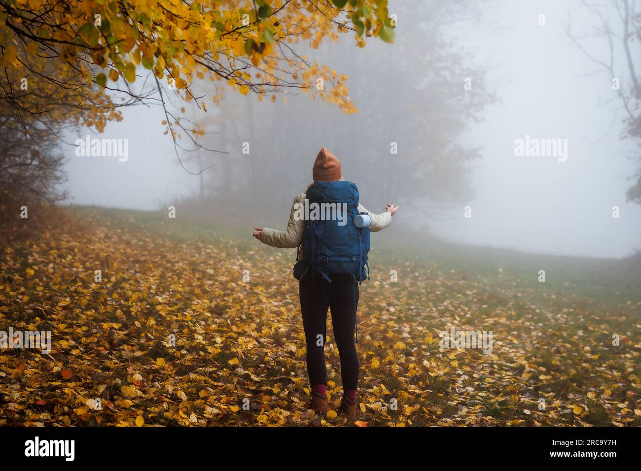 Confused tourist in forest hi-res stock photography and images - Alamy