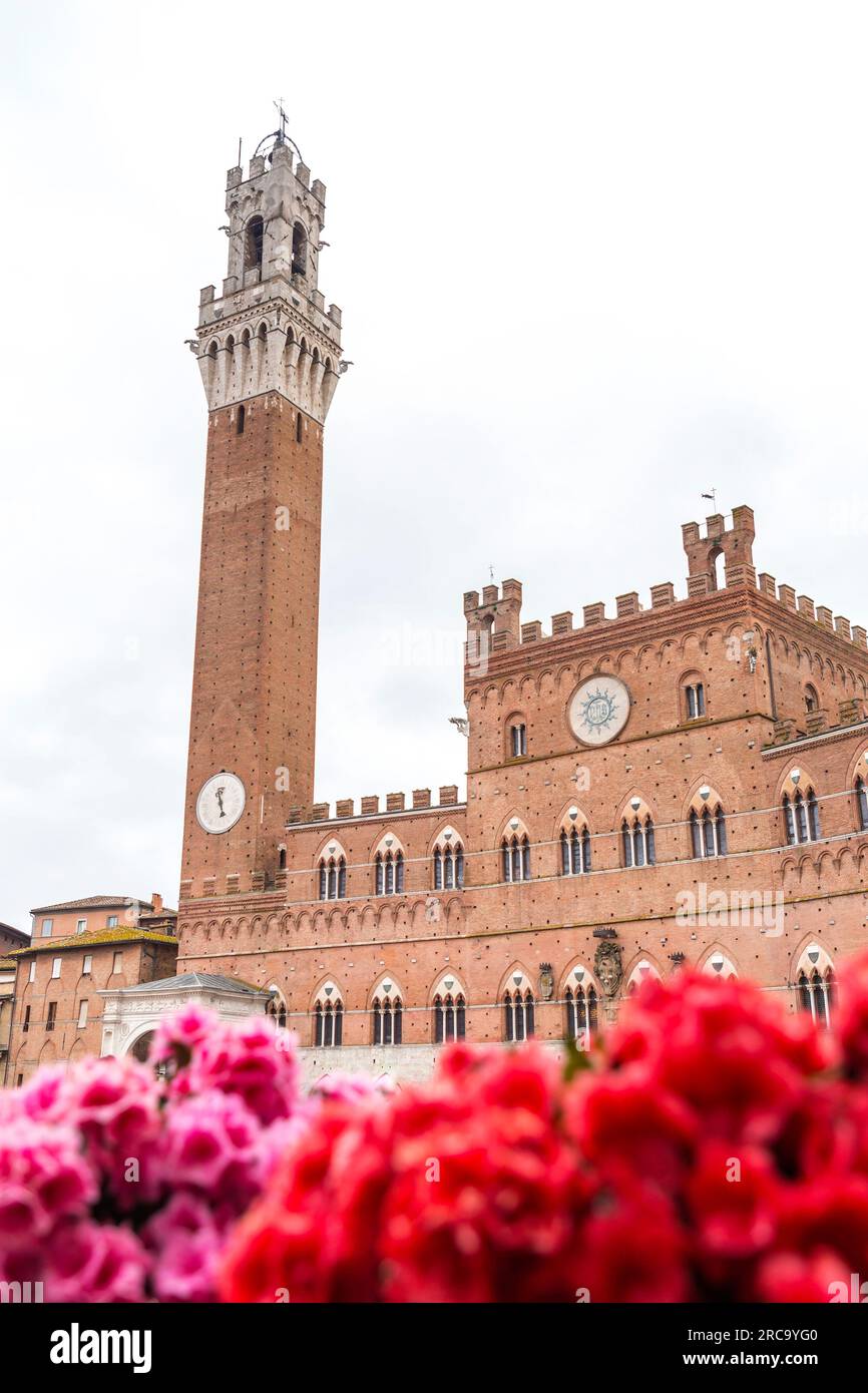 The Palazzo Pubblico, town hall is a palace located at the Piazza del ...