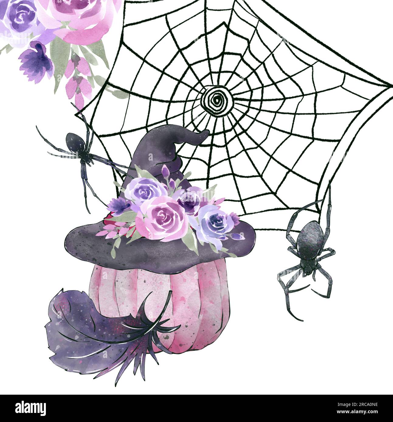 Cobweb drawing hi-res stock photography and images - Alamy