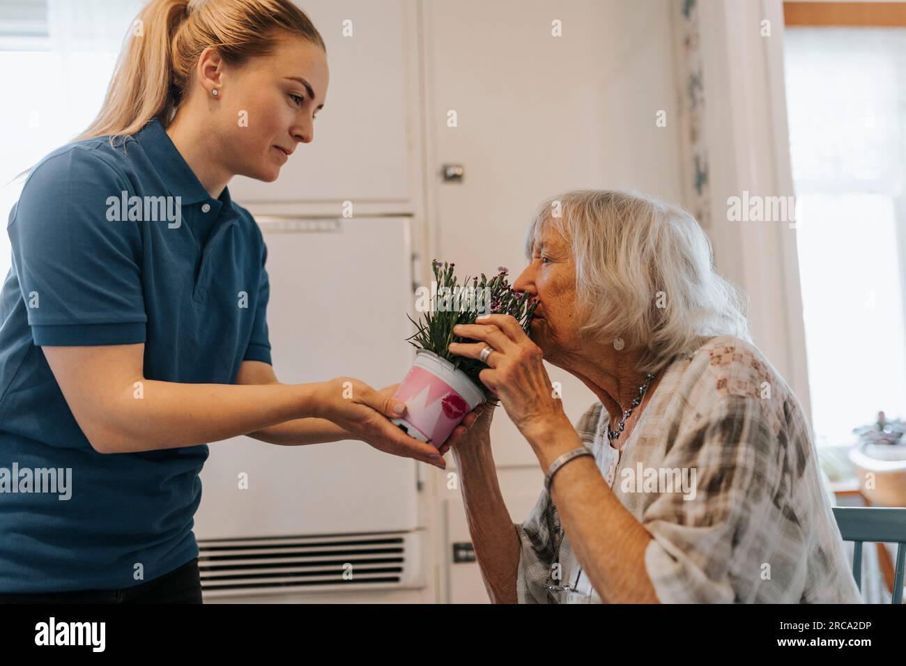 Plant care senior woman hi-res stock photography and images - Alamy