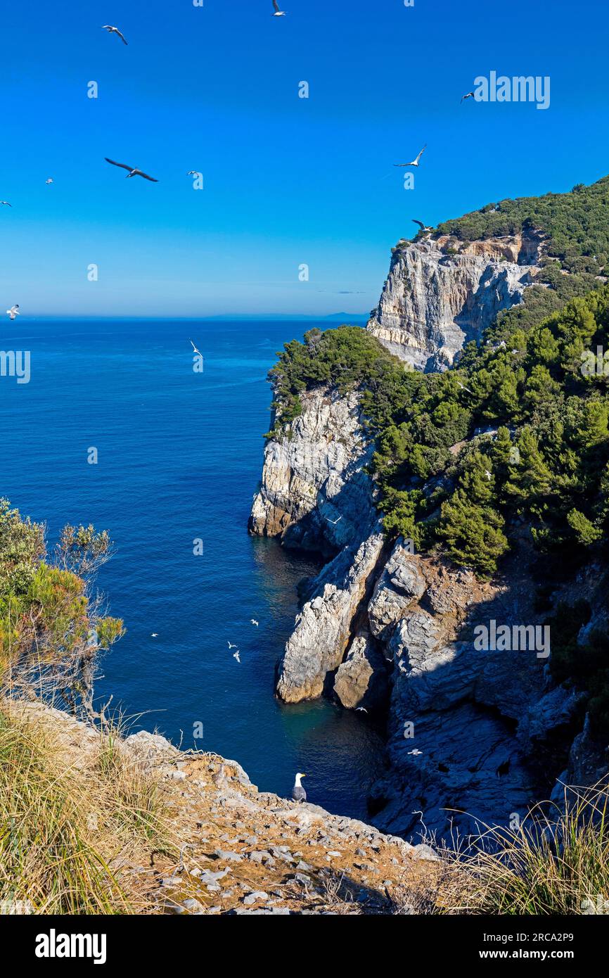 Palmaria Island, Portovenere, Liguria, Italy, View of the south west ...