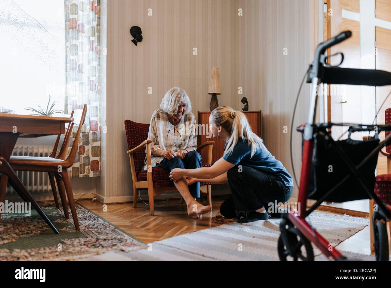 Female care assistant helping senior woman while wearing socks at home ...