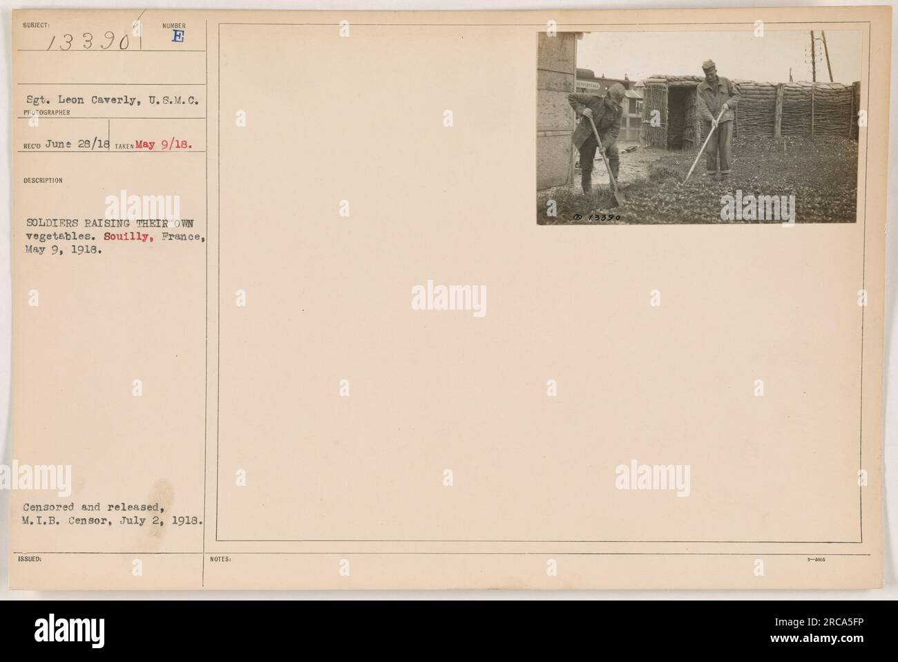 Soldiers in Souilly, France, can be seen tending to their vegetable ...