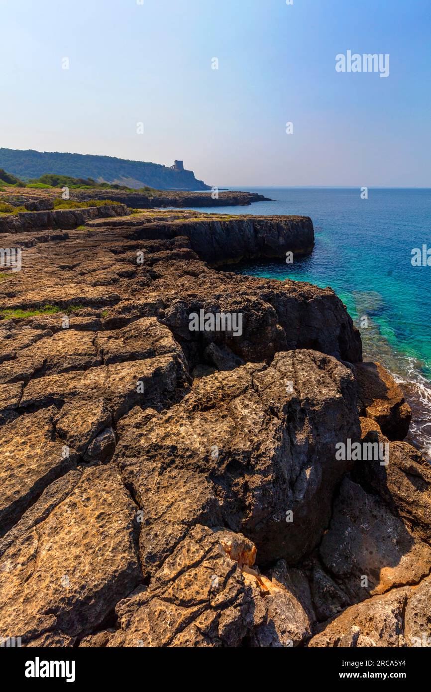 Renata fonte hi-res stock photography and images - Alamy