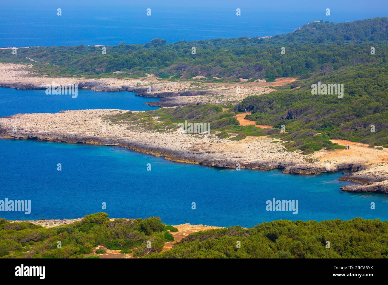 Renata fonte hi-res stock photography and images - Alamy