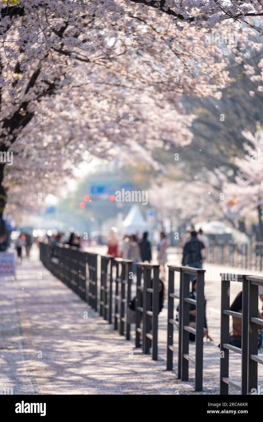 Seoul, South Korea - 3 April 2023: People walking along the street at ...