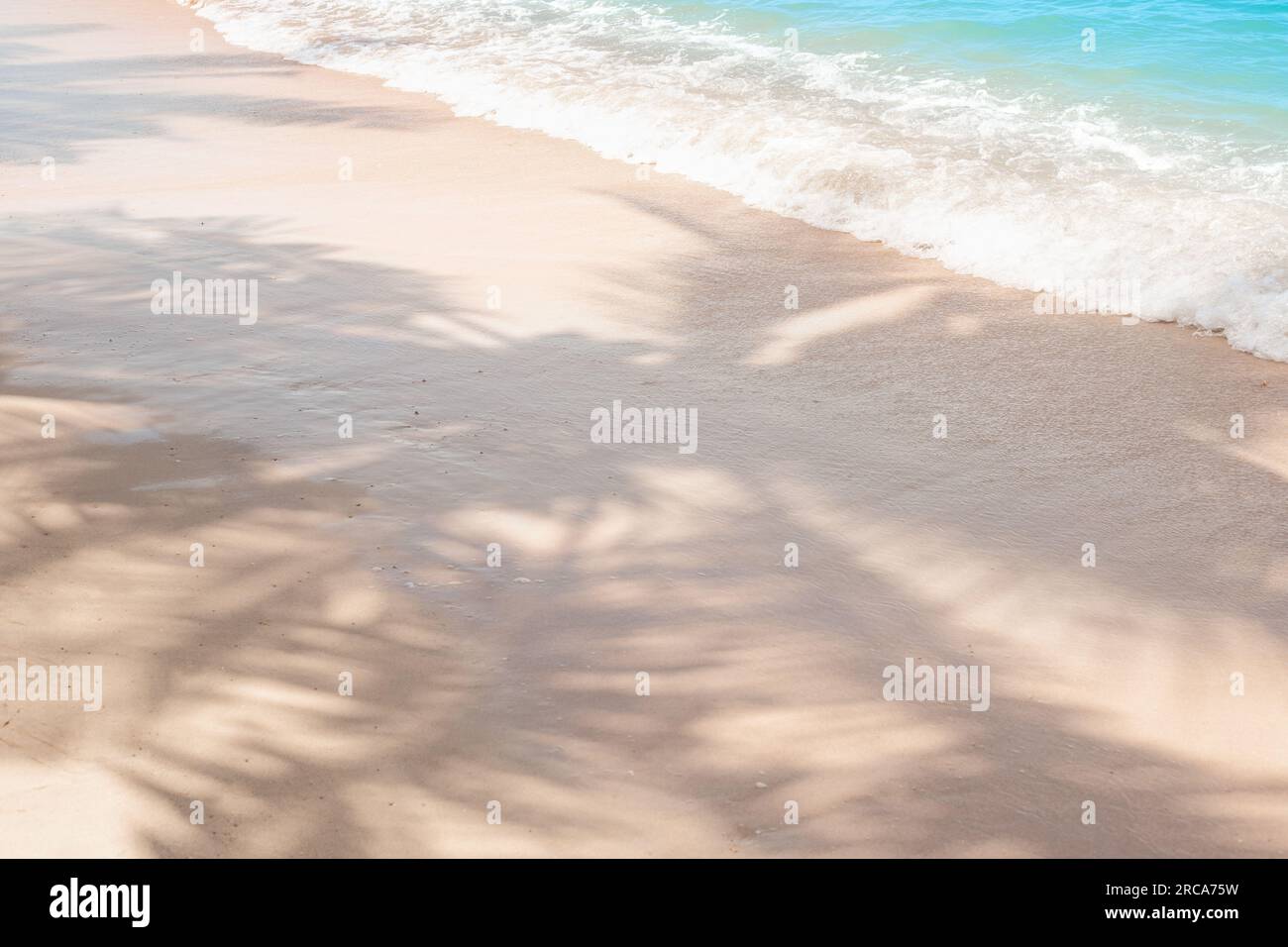 Shadow from a palm tree on white sand on the seashore with an azure ...