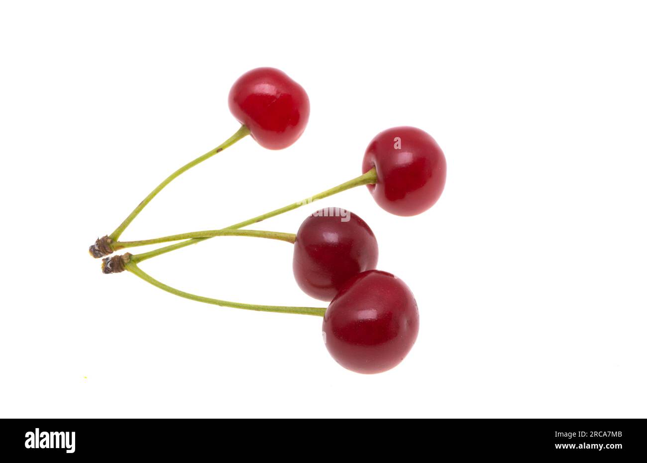 cherry isolated on white background Stock Photo - Alamy