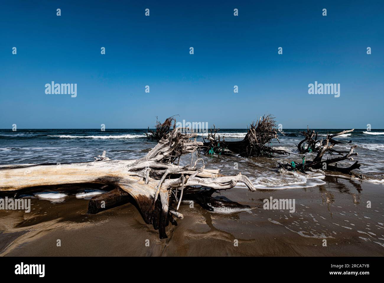 Mare senegal hi-res stock photography and images - Alamy