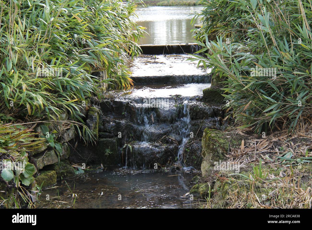 A Garden Waterfall Between Two Bamboo Plants Stock Photo - Alamy
