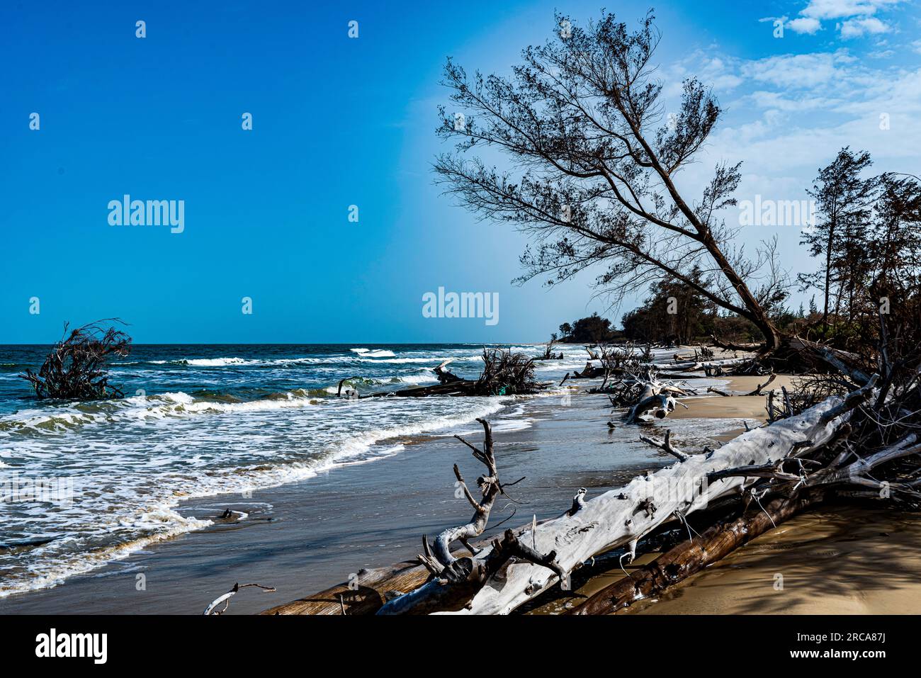 Mare senegal hi-res stock photography and images - Alamy