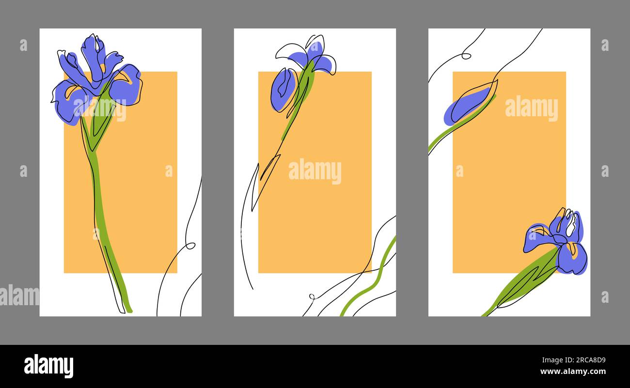Social media floral templates with iris flower. Minimalist vector ...