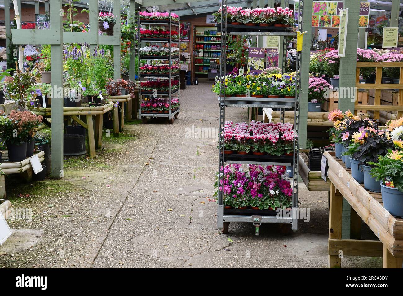 Plant and flowerpot displays in garden centre Stock Photo - Alamy