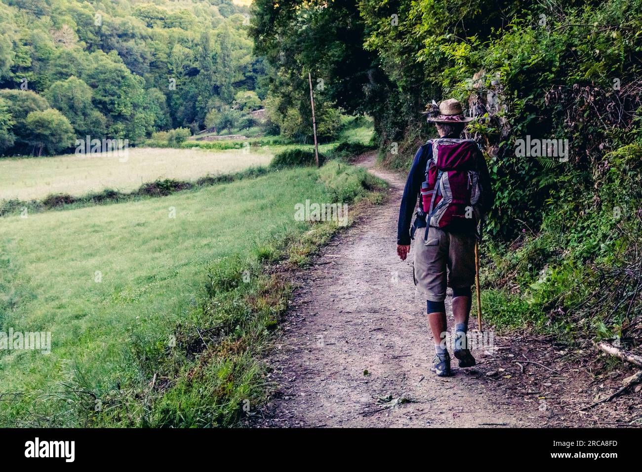 male pilgrim walking the Camino to Santiago de Compostela through the ...