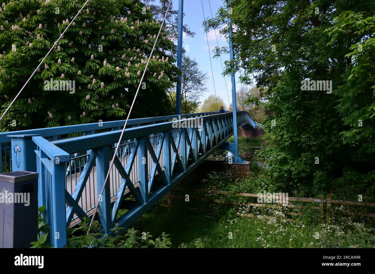 Blue bridge over the River Stour in Blandford Forum, Dorset, UK Stock ...