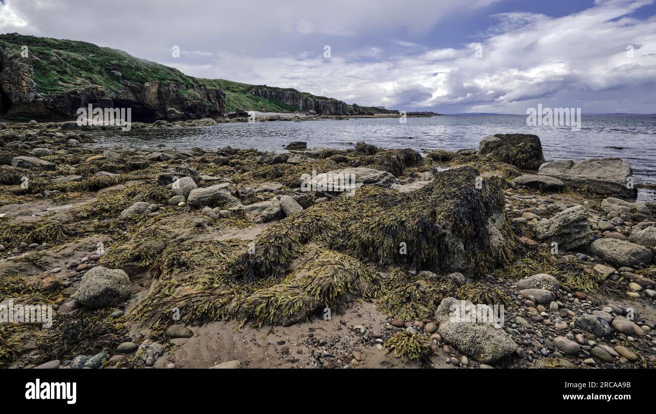 Seascape aesthetics hi-res stock photography and images - Alamy