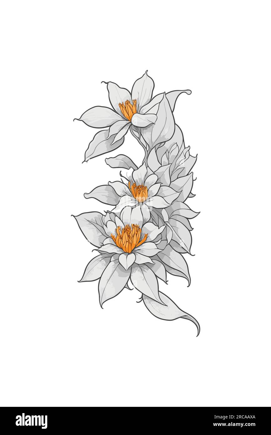 Split flowers Stock Vector Images - Alamy