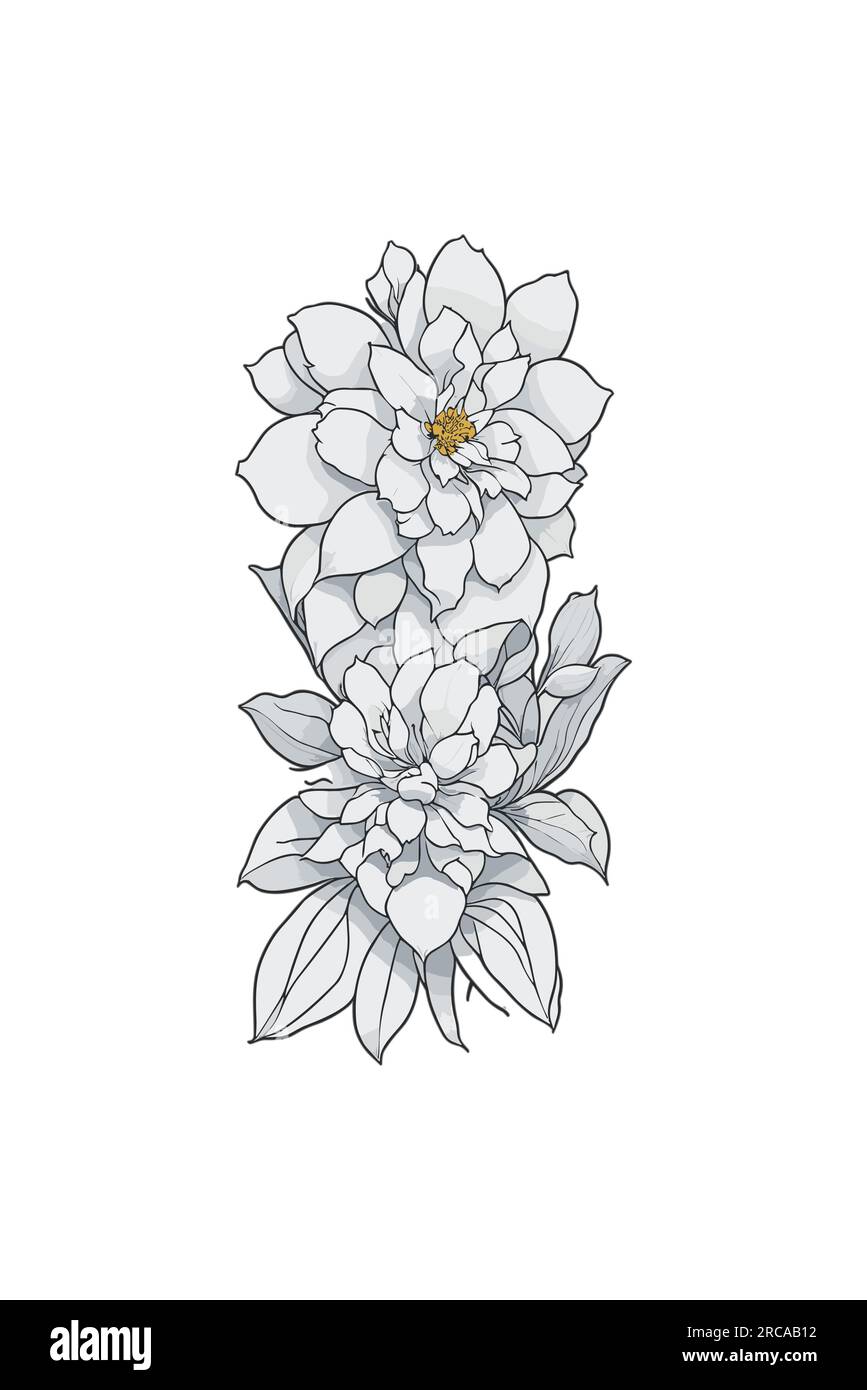 Split flowers Cut Out Stock Images & Pictures - Alamy