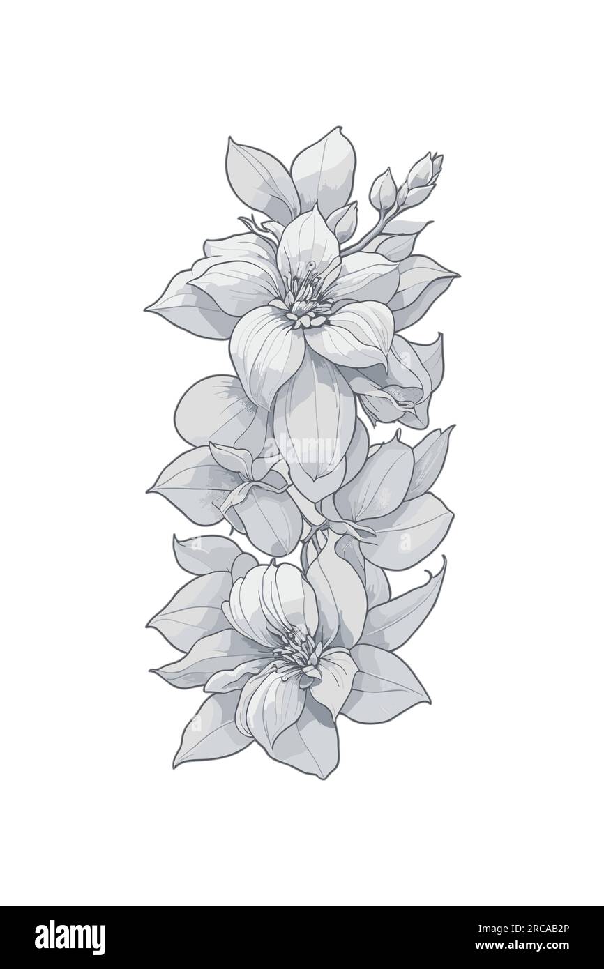 Split flowers Cut Out Stock Images & Pictures - Alamy