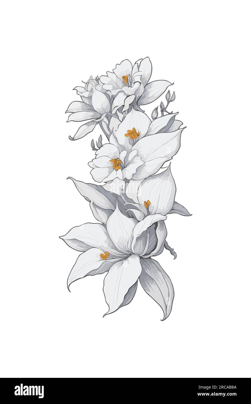 Split flowers Stock Vector Images - Alamy