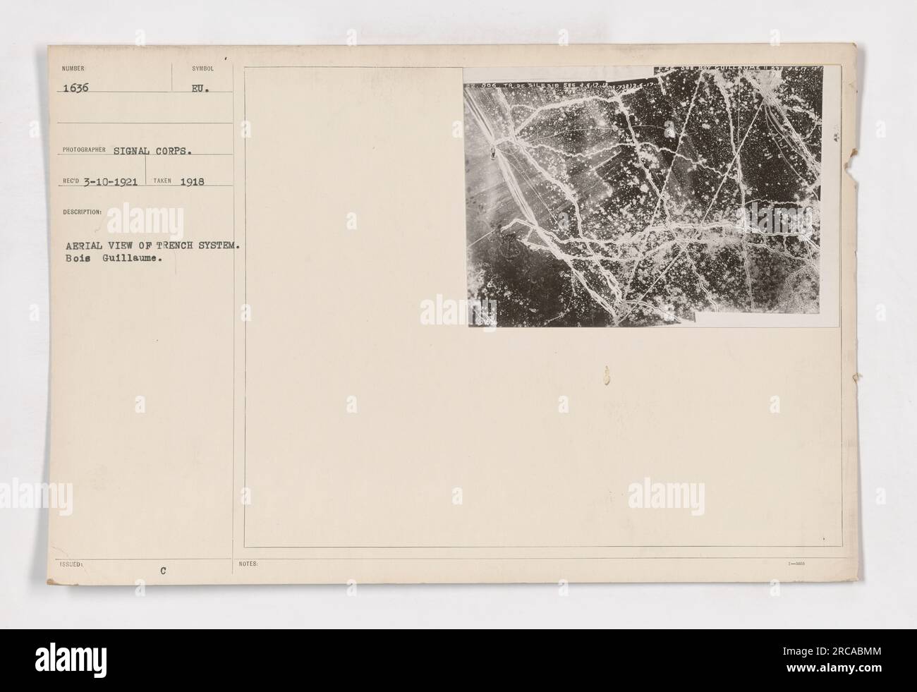 Aerial view of the trench system in Bois Guillaume during World War I ...