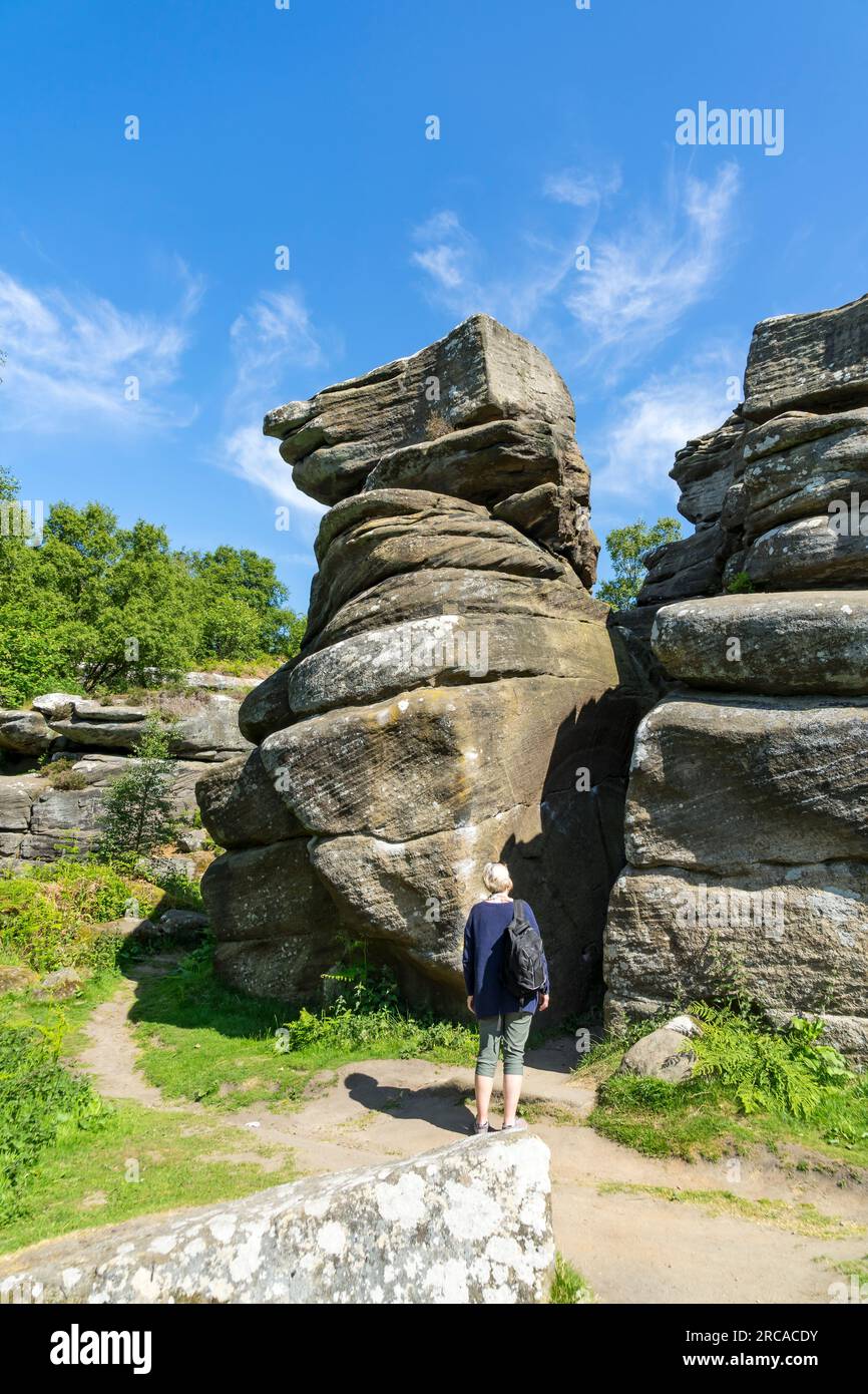 Studying Brimham Rocks, Harrogate, North Yorkshire, England, UK Stock ...