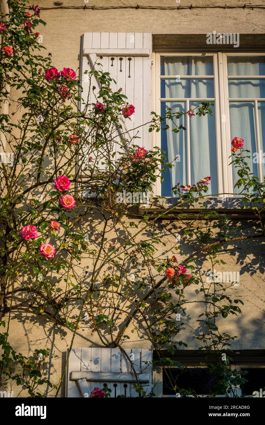 The countryside in Paris, La Campagne à Paris, a charming residential ...