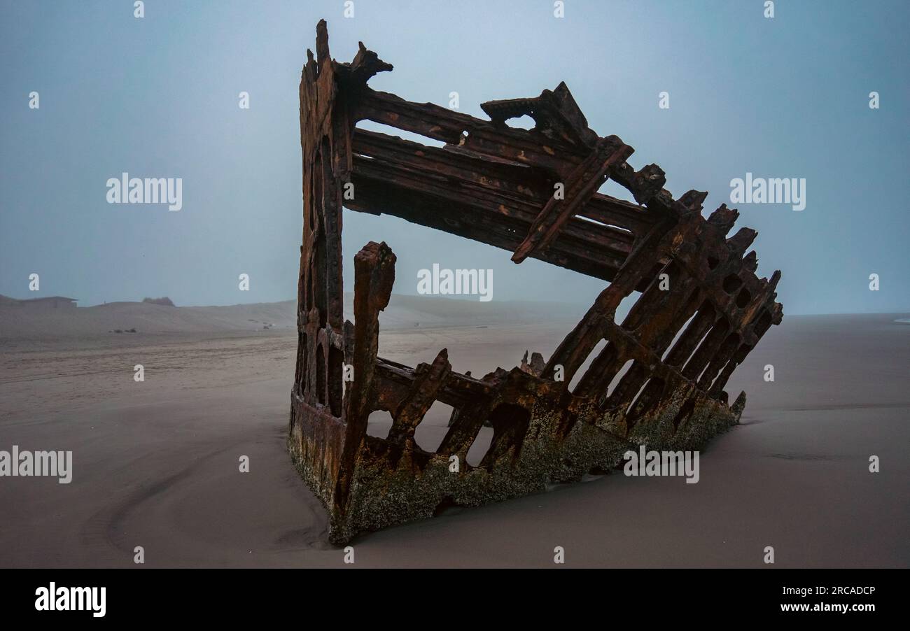 1906 Shipwreck of the Peter Iredale on a foggy morning at low tide ...