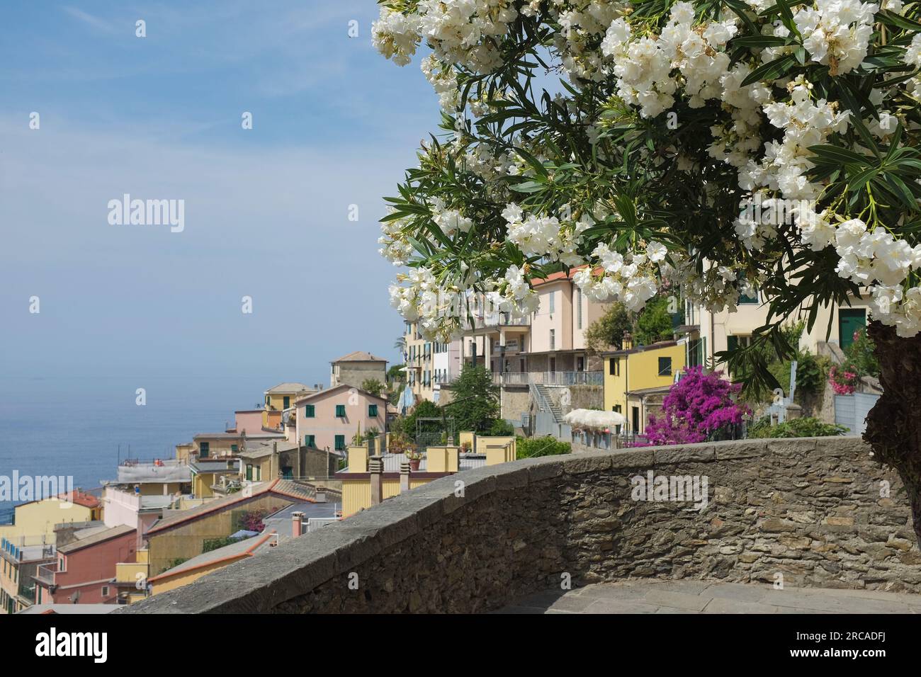 Cinque Terre, Italy - balcony view of the sea and colorful houses in ...