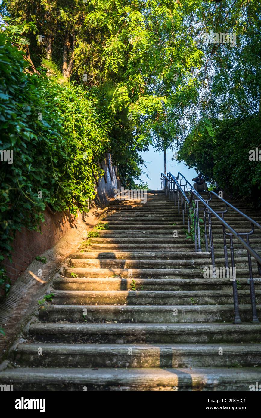 Stairs leading to The countryside in Paris, La Campagne à Paris, a ...