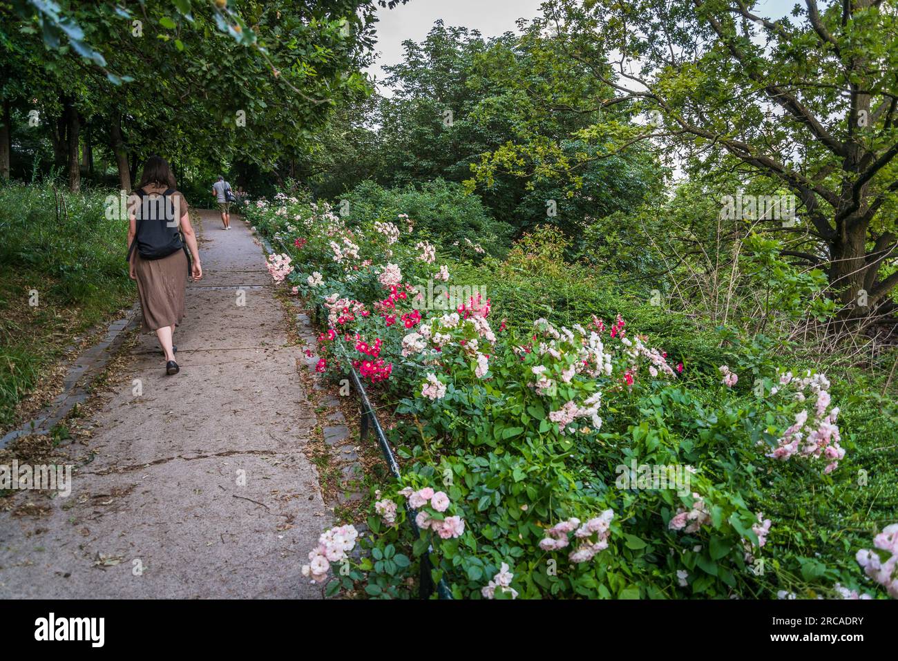 Flowerbeds along a path, Belleville Park, Parc de Belleville, 20th ...