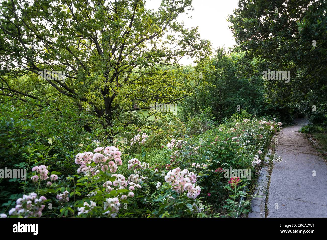 Flowerbeds downtown park hi-res stock photography and images - Alamy