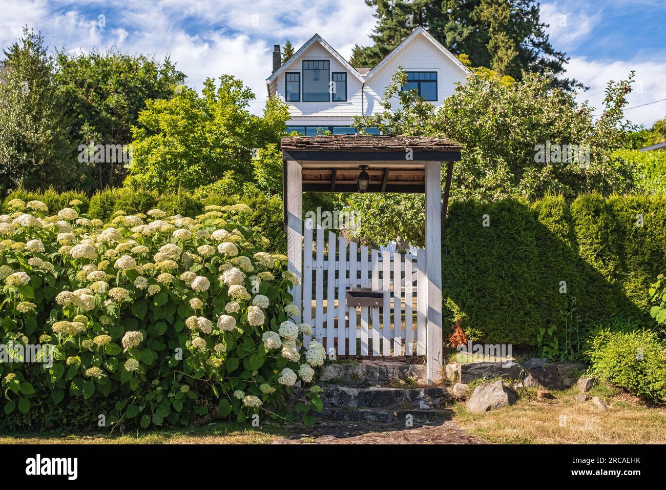 Nicely landscaped front yard in summer in the suburbs. Beautiful house ...